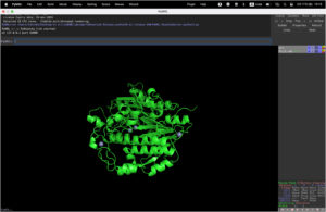 【In silico 創薬】PyRosettaによるPyMOL上でのタンパク質可視化 - LabCode