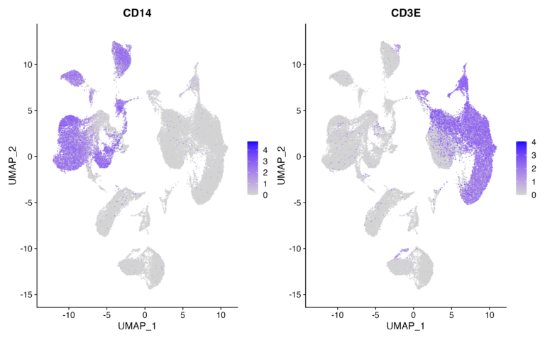 【scRNA-seq】Assigning cell types to each cluster automatically using ...