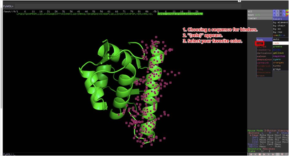 【RF Diffusion】Discovery of Protein Drugs using RF Diffusion, ProteinMPNN, and AF2 【In silico ...