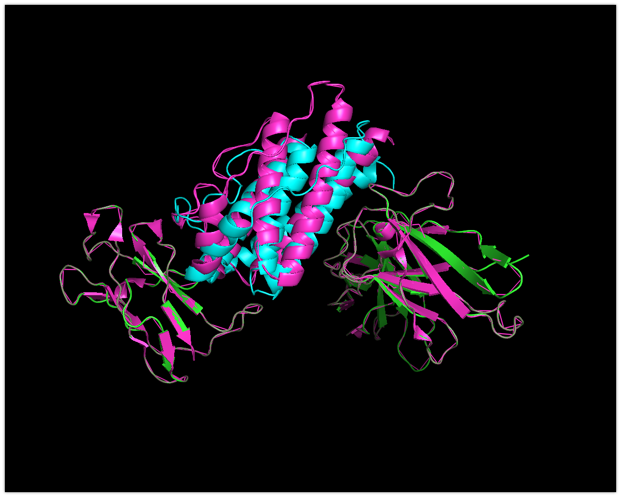 【分子ドッキング】ClusProを使ったタンパク質-タンパク質ドッキング【in silico創薬】 - LabCode