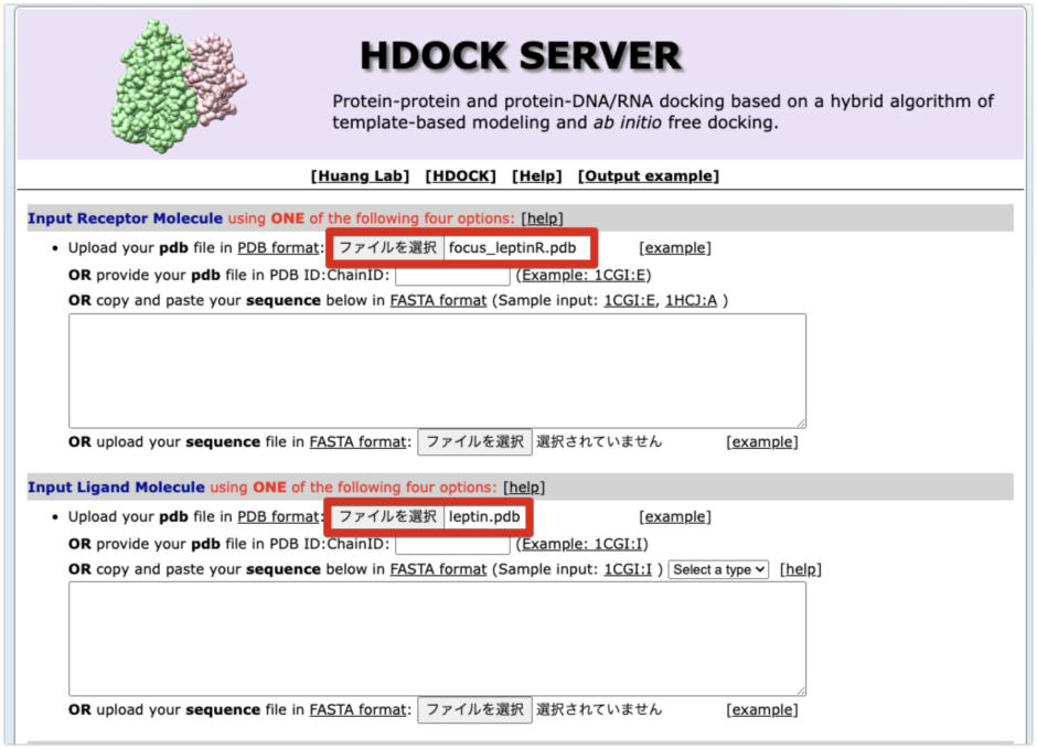 【分子ドッキング】 HDockを使ったタンパク質-タンパク質ドッキング【in silico創薬】 - LabCode