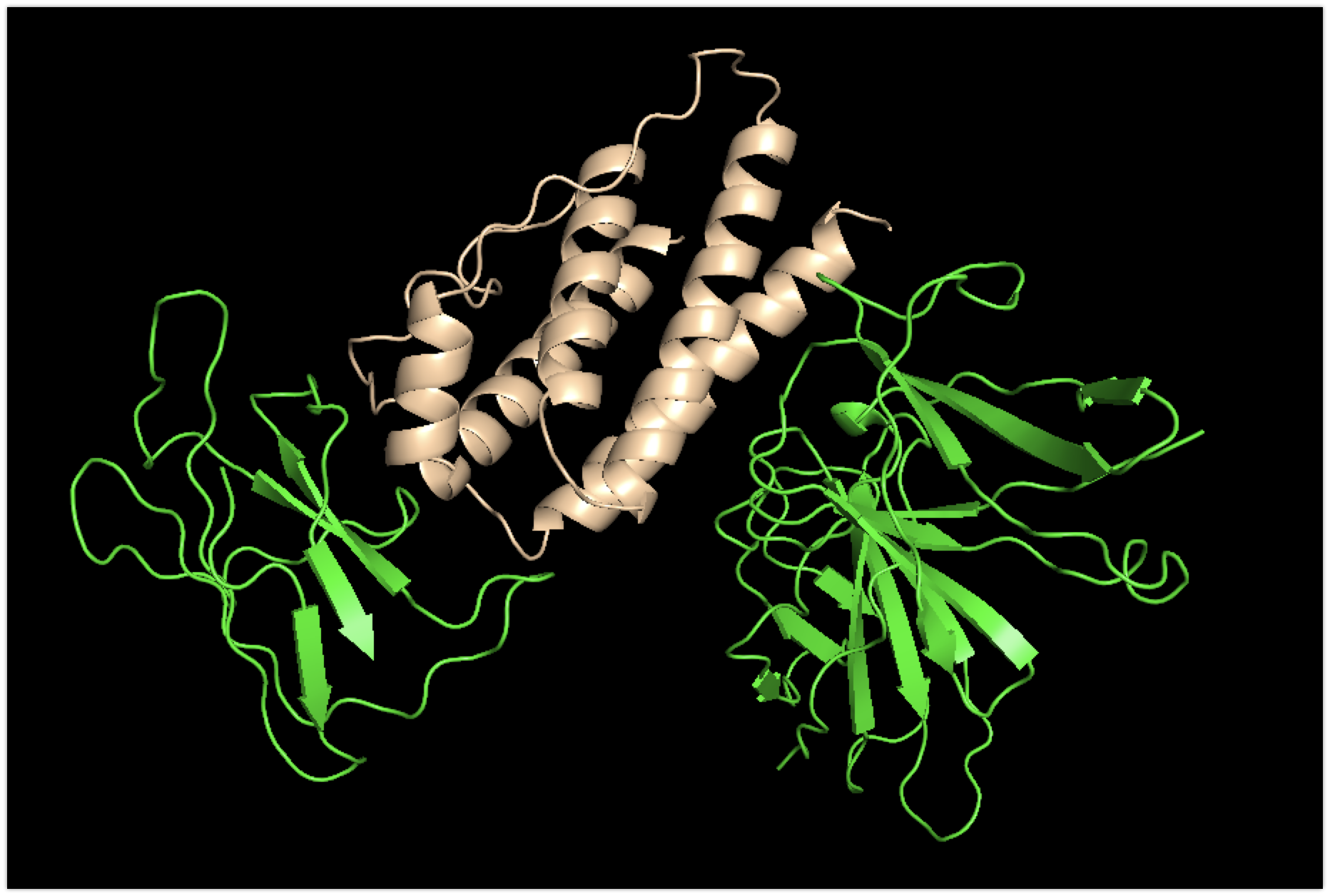 【Molecular Docking】 Protein-Protein Docking Using HDock【In Silico Drug ...