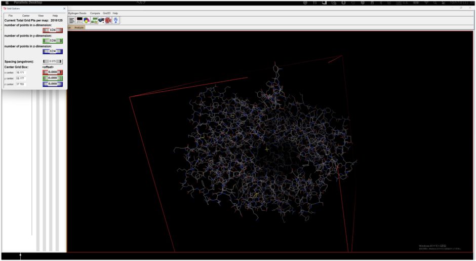 【Autodock Vina】In Silico Screening Using Autodock Vina【In Silico Drug Discovery】 - LabCode