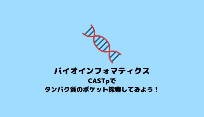 【ポケット探索】CASTpを使ったタンパク質結合サイトの探索【in silico創薬】 - LabCode