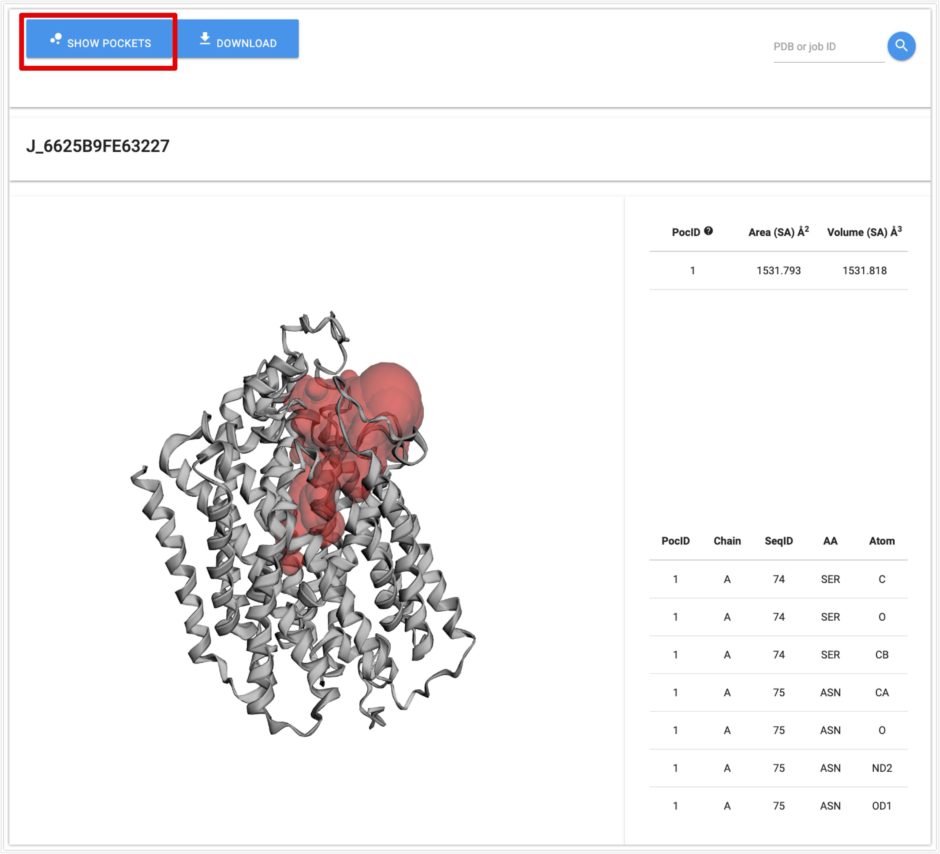 【ポケット探索】CASTpを使ったタンパク質結合サイトの探索【in silico創薬】 - LabCode