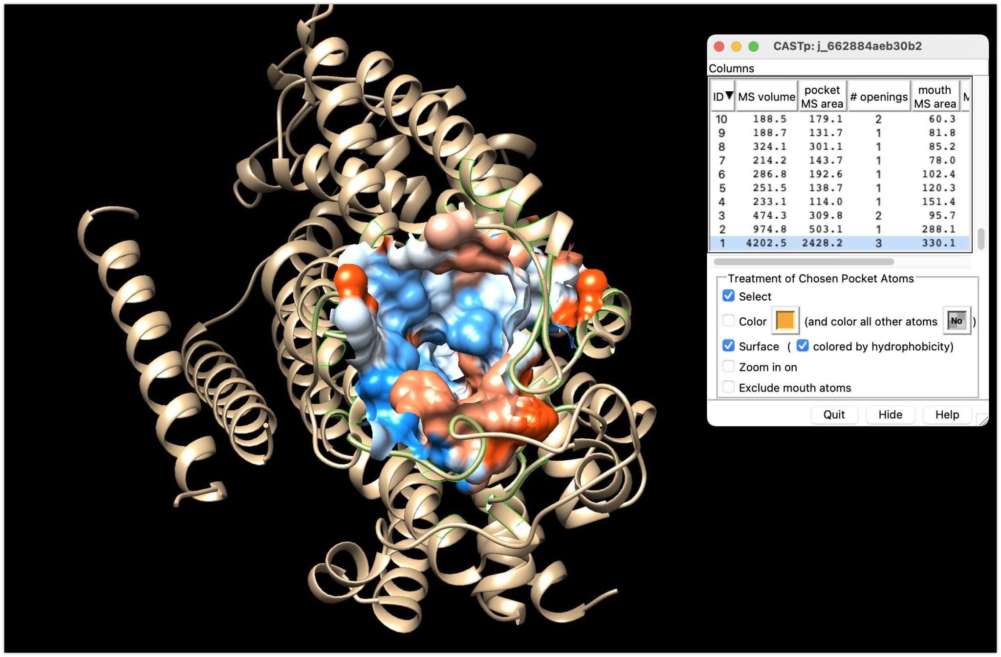 【ポケット探索】CASTpを使ったタンパク質結合サイトの探索【in silico創薬】 - LabCode