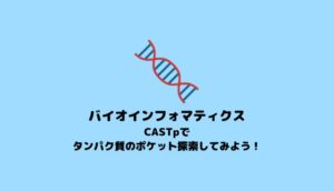【ポケット探索】CASTpを使ったタンパク質結合サイトの探索【in silico創薬】 - LabCode