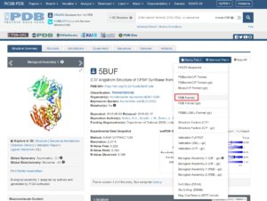 PyRosettaによるエネルギー最小化とロゼッタスコアの出力【タンパク質】【In silico創薬】 - LabCode