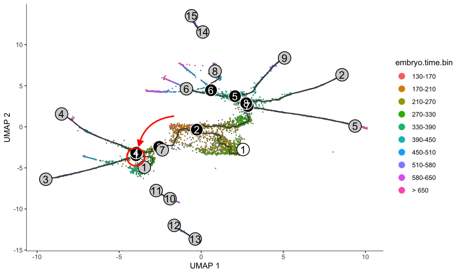【シングルセル】Monocle3を用いたTrajectory解析のやり方【擬似時間解析】 - LabCode