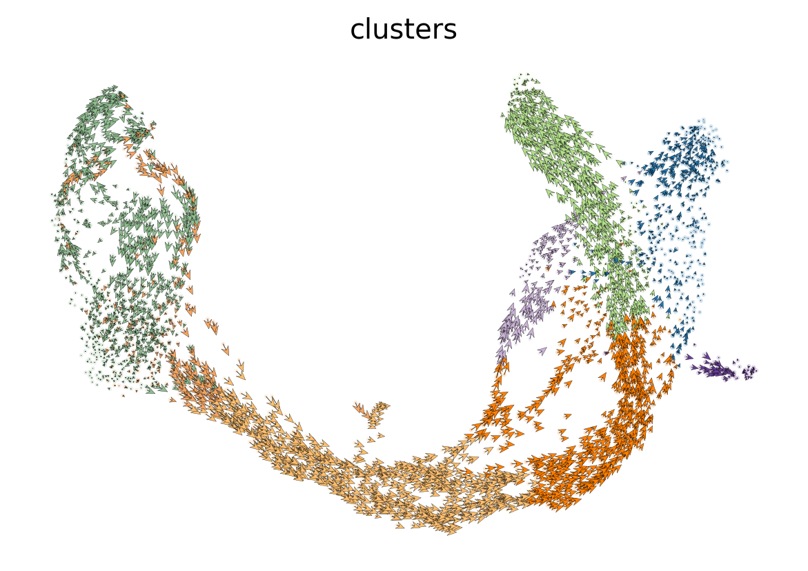 【シングルセル】scVeloを用いたRNA Velocity解析のやり方【細胞状態遷移】 - LabCode