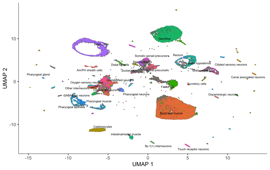 【シングルセル】Monocle3を用いたTrajectory解析のやり方【擬似時間解析】 - LabCode