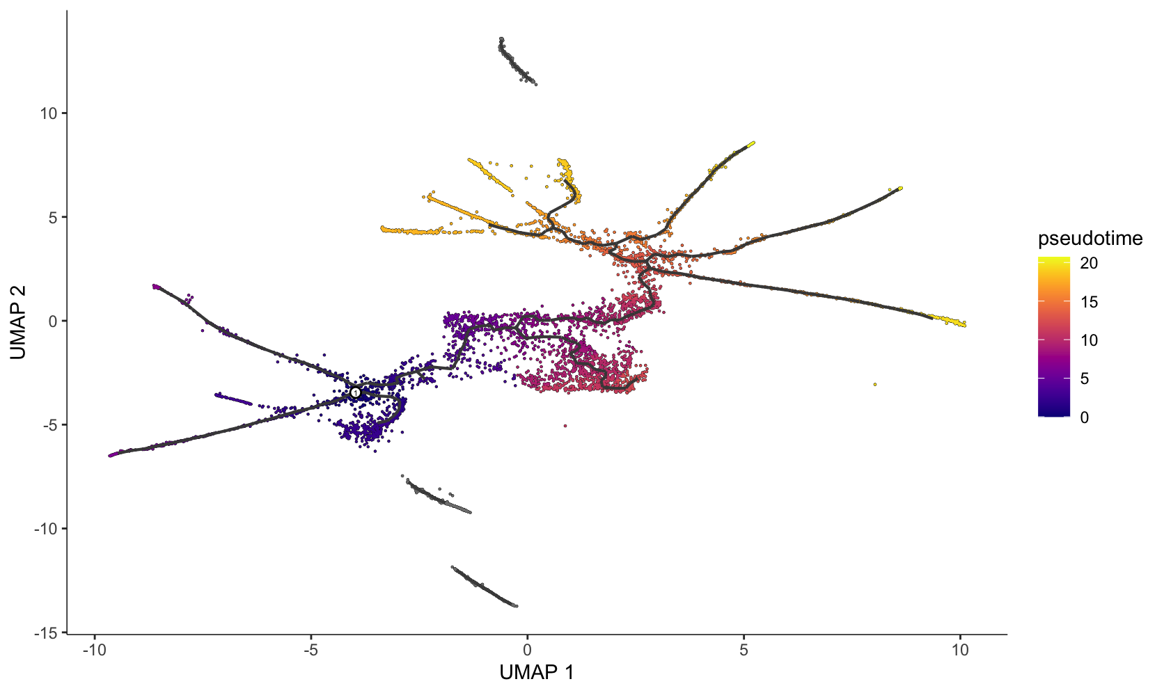 【シングルセル】Monocle3を用いたTrajectory解析のやり方【擬似時間解析】 - LabCode