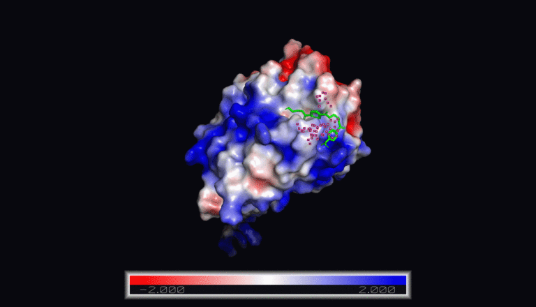 機械学習によるタンパク質の変異設計、In Silicoスクリーニング、分子ドッキング【iGEM-Wasedaプロジェクトレポート】 - LabCode