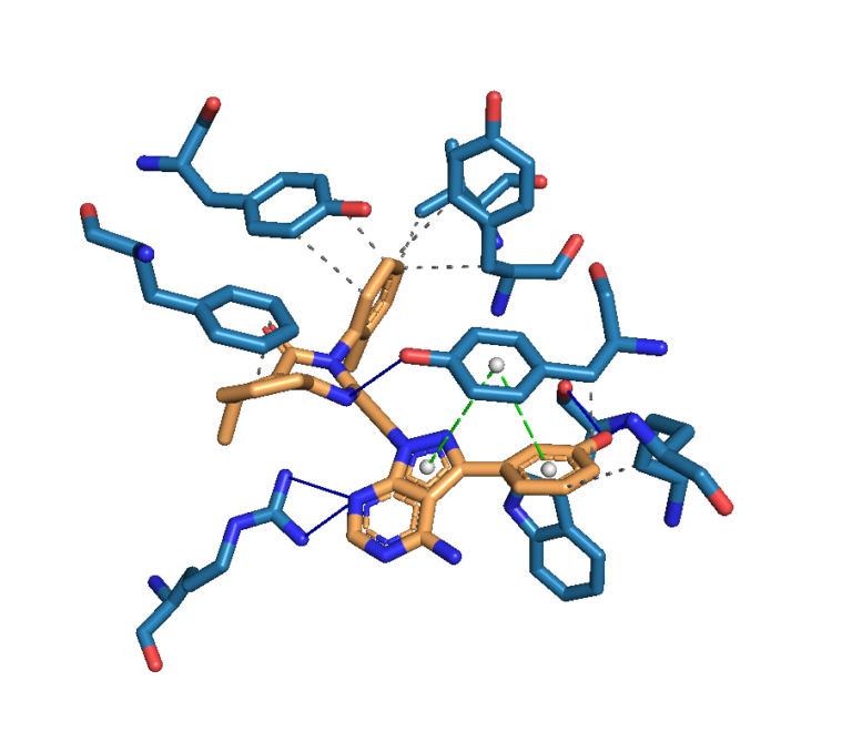 Protein-Ligand Interaction Profiler (PLIP)を用いたタンパク質-低分子相互作用解析【in silico ...